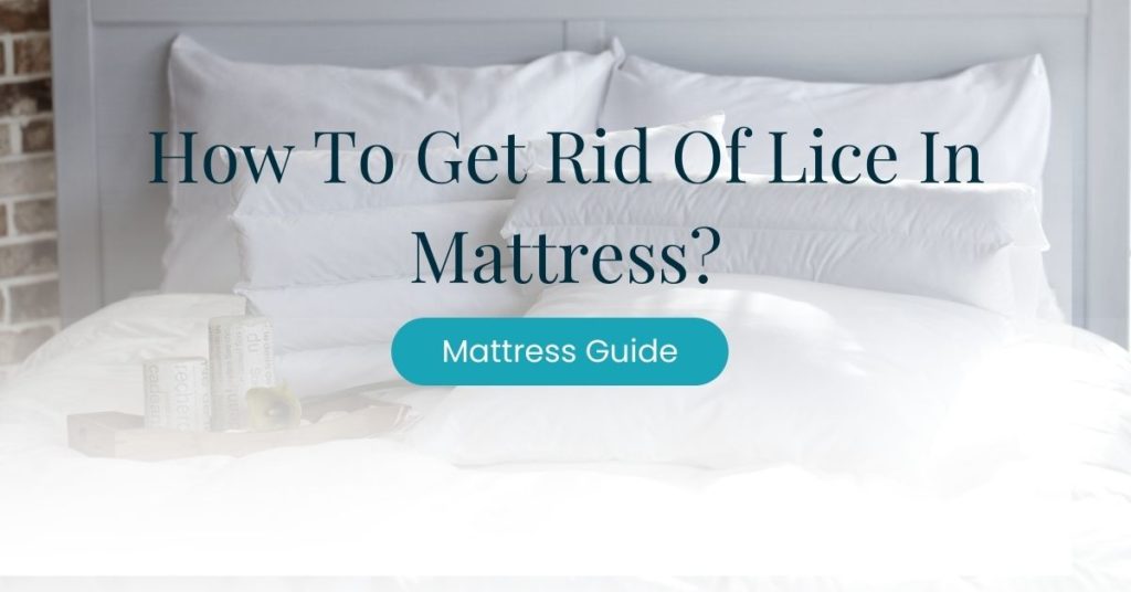 How To Get Rid of Lice On A Mattress? - The Sleep Checklist